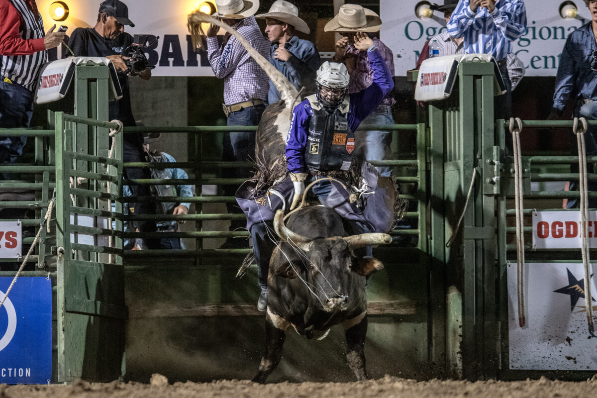 PHOTOS: Giddy up! Riders, residents, enthusiasts join together at Ogden ...